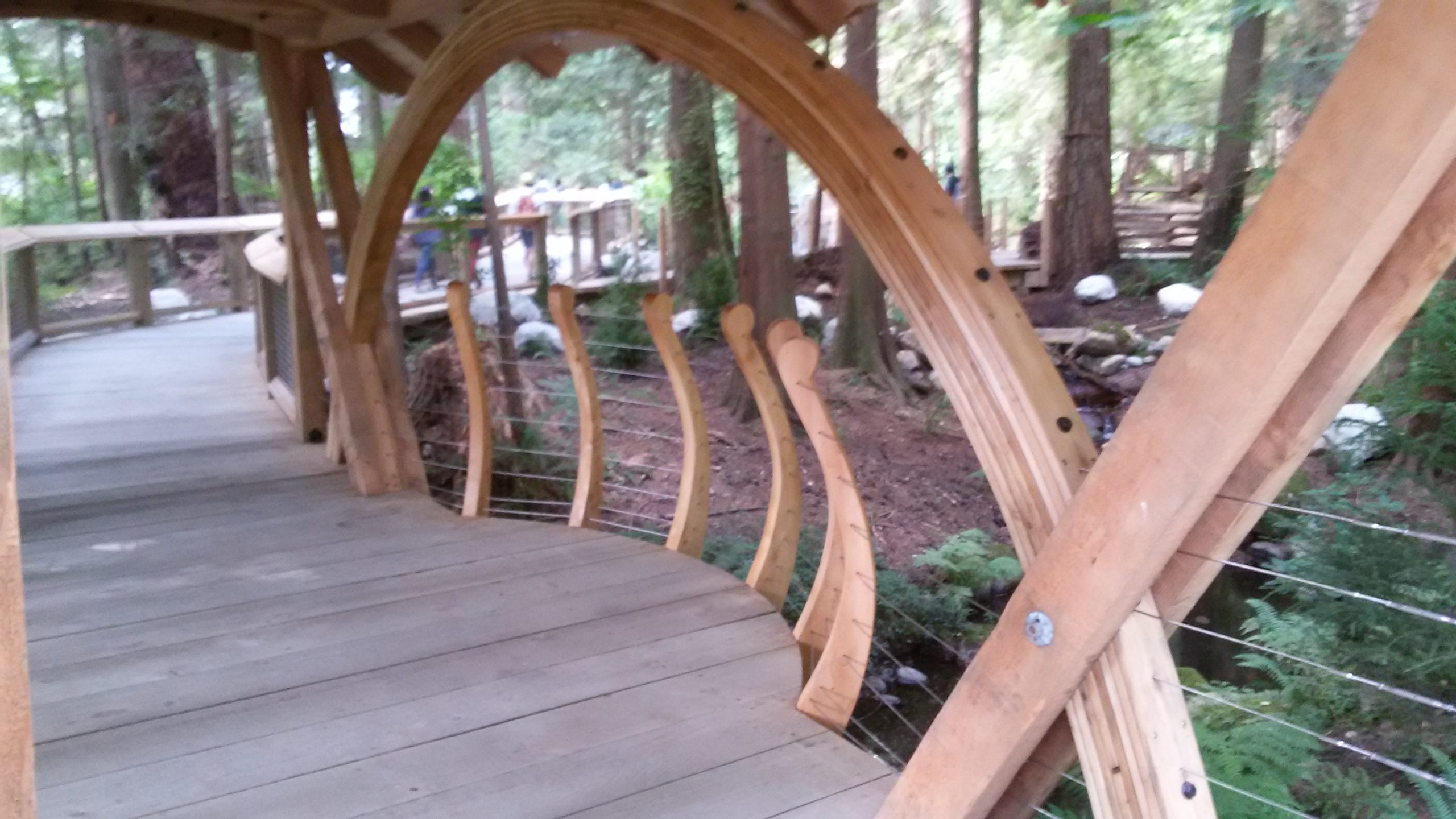 Reviews - The Maple Carpenter